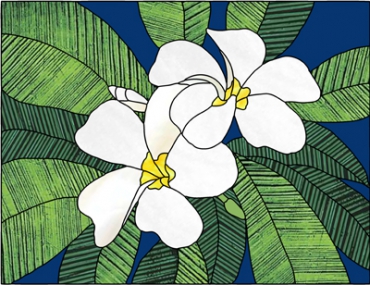 Plumeria | Best Stained Glass Patterns