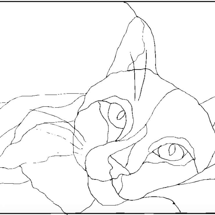 Animals | Best Stained Glass Patterns