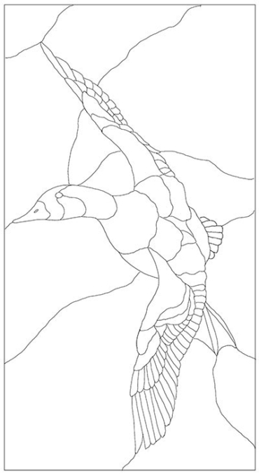Canvasback Duck 2 | Best Stained Glass Patterns